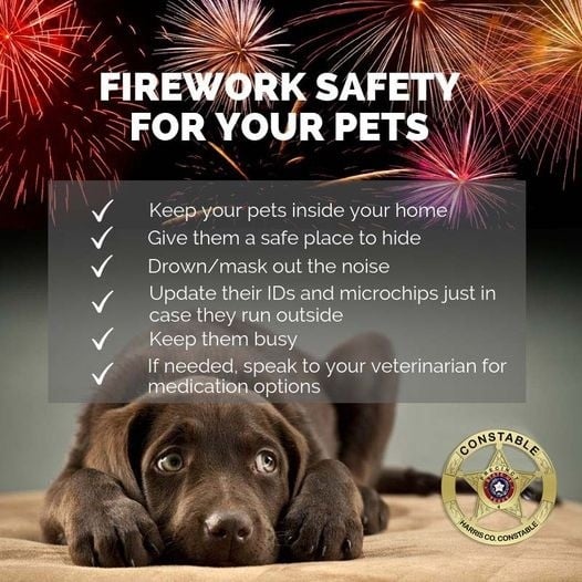 Firework Safety Tips for Your Pets
